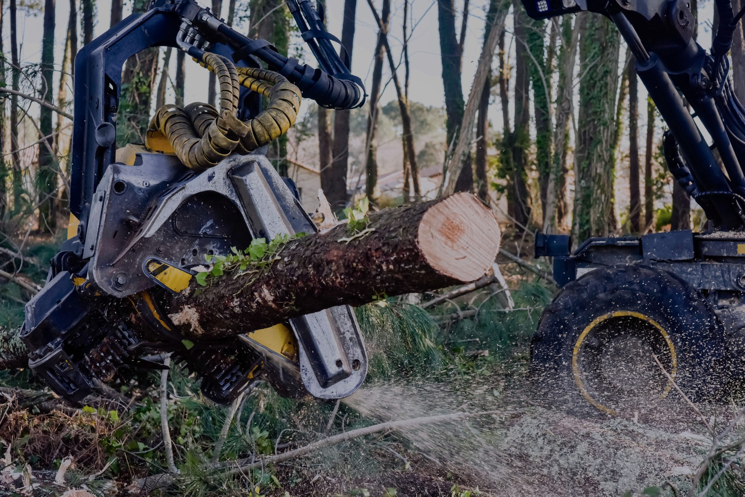 Forestry - Hydroline